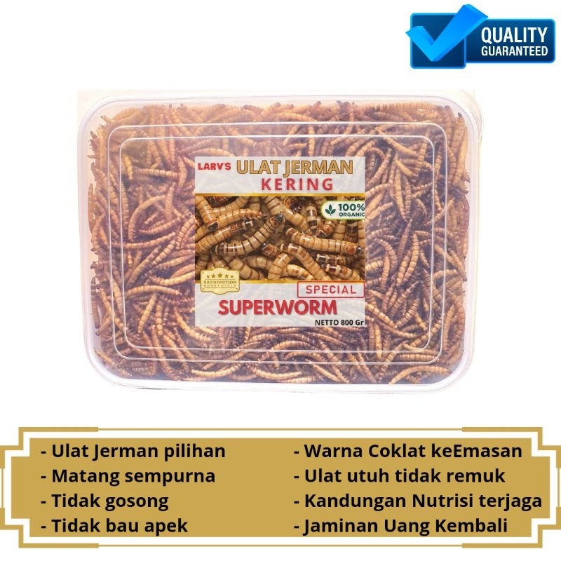 Jual Ulat Jerman Kering SUPERWORM LAR'V Organic SNACK HEWAN PELIHARAAN ...