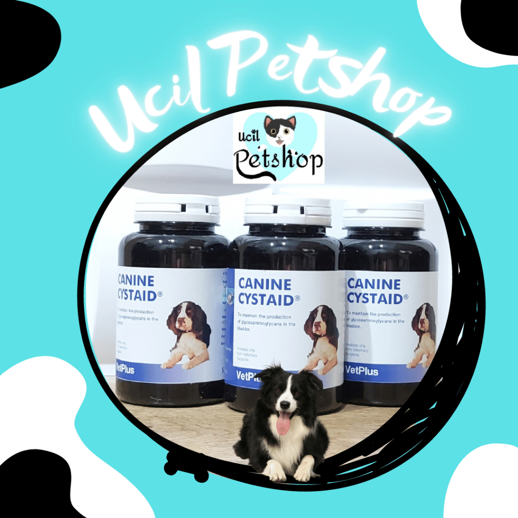 Jual Canine Cystaid For Dog Vetplus Obat Saluran Kemih Kencing Anjing ...