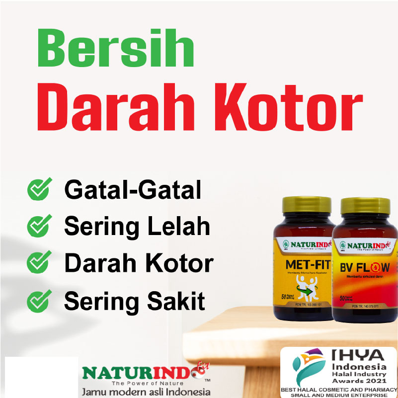 Jual Obat Bersih Darah Manis Kotor Jerawat Prurigo Herbal Kapsida ...