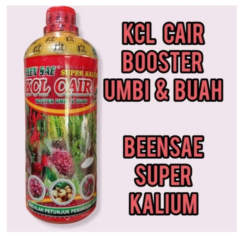 Jual Pupuk Cair BEENSAE Super Kalium KCL cair Booster Umbi dan Buah 1 Liter | Shopee Indonesia
