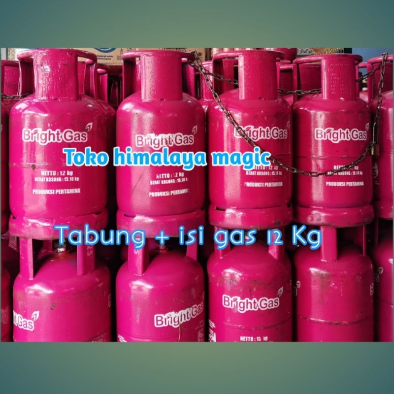 Jual 1 Tabung gas Baru warna pink +isi gas resmi Pertamina 12 Kg Segel ...