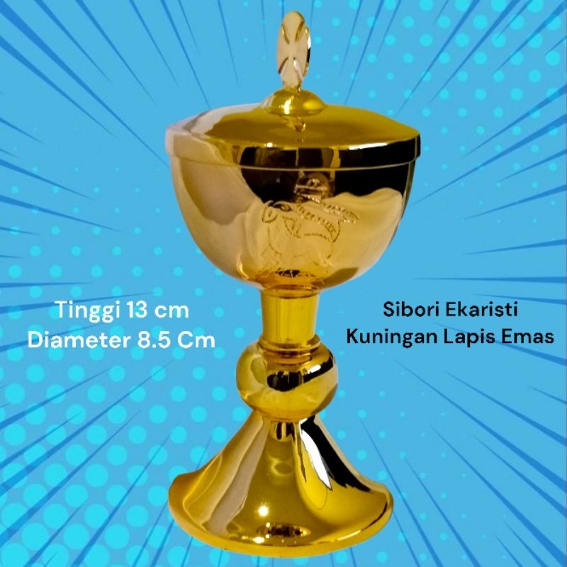 Jual Sibori/Ekaristi Katolik/Kasula Romo Imam Katolik/Alba/Jubah ...