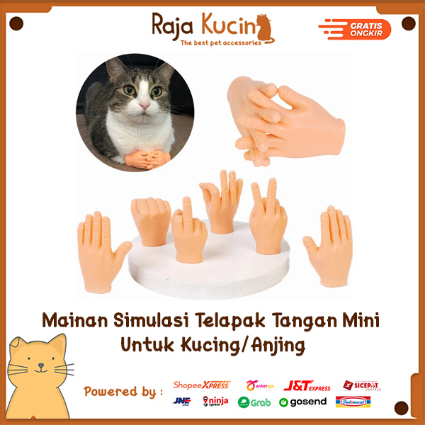 Jual Mainan simulasi telapak tangan mini untuk kucing/anjing (sarung ...