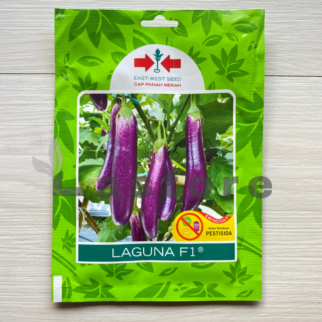 Jual Benih Terong Ungu LAGUNA F1 Isi 400 Butir Cap Panah Merah | Shopee Indonesia