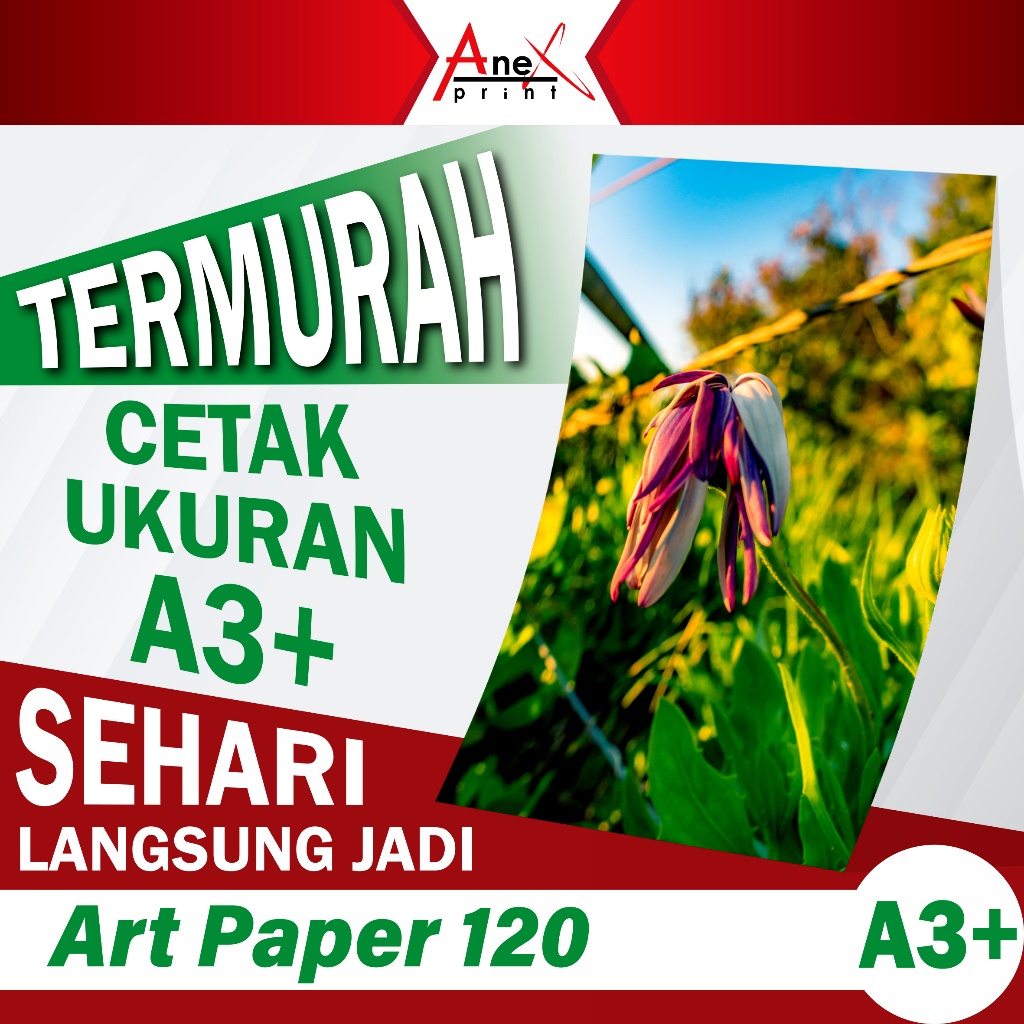 Jual CETAK A3+ MURAH / PRINT A3+ 1 SISI DAN 2 SISI / KERTAS HVS ...