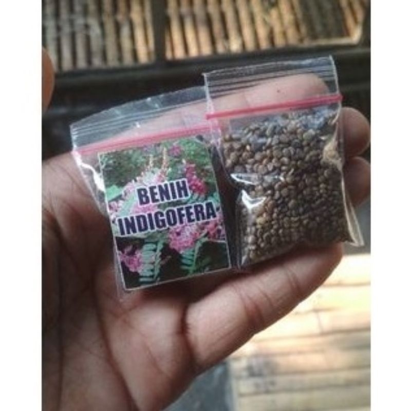 Jual Biji benih indigofera super pakan ternak -+2000 biji | Shopee ...