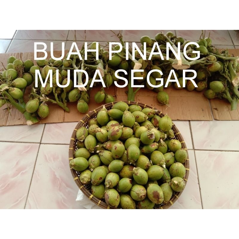Jual Buah pinang muda segar 1kg | Shopee Indonesia