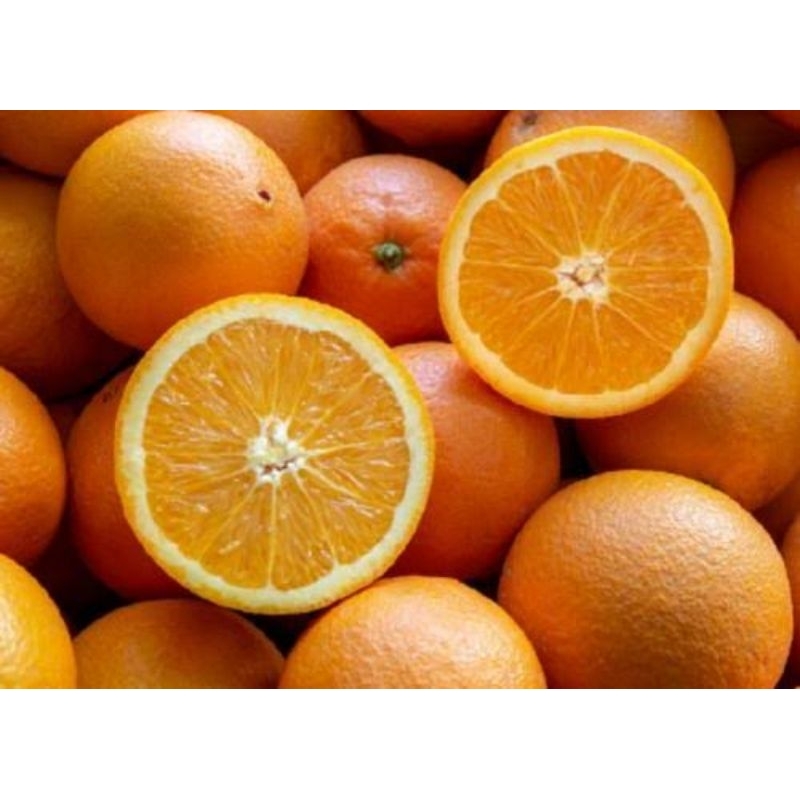 Jual jeruk orange (kak dewi) | Shopee Indonesia