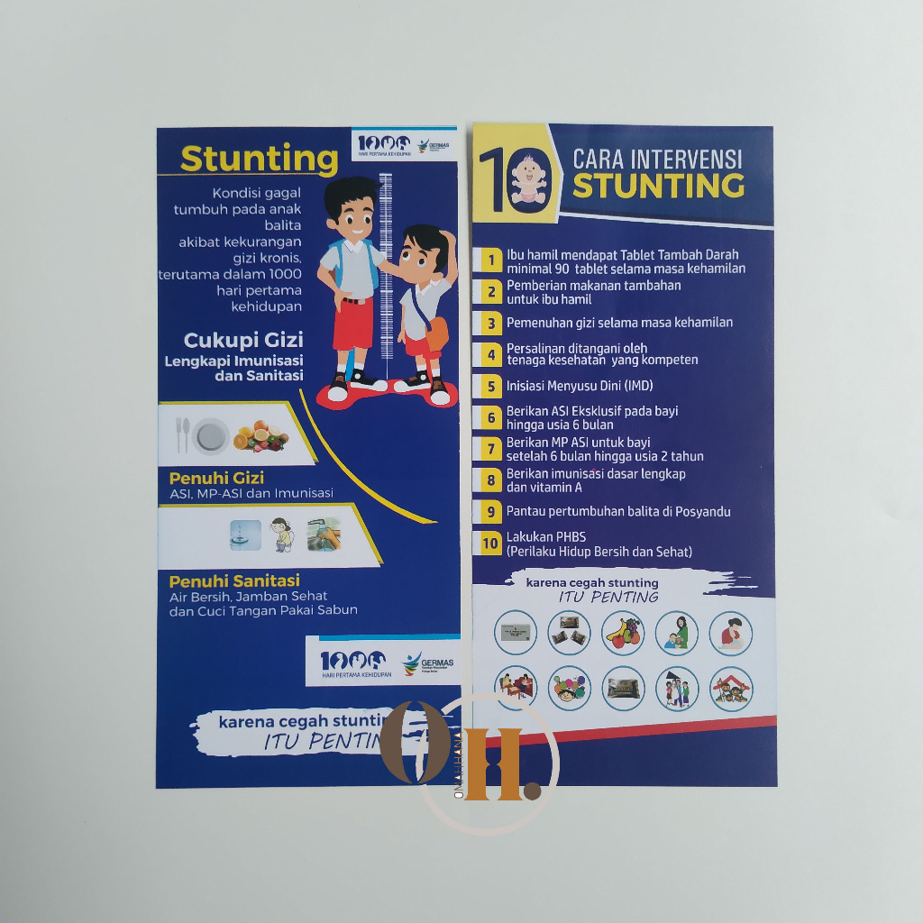 Jual Flyer Stunting, Flyer Edukasi Cegah Stunting, 10 Intervensi ...