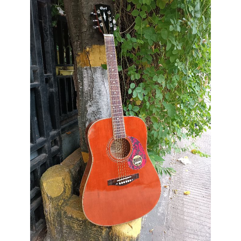 Jual Gitar Akustik Cort Jumbo Tanbes Gitar akustik Murah | Shopee Indonesia