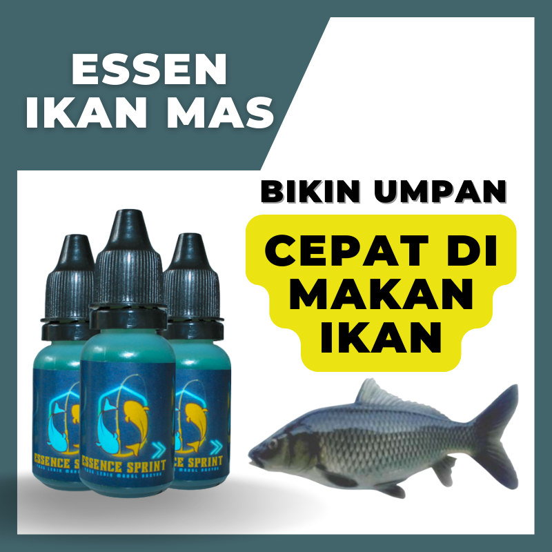 Jual Essen Ikan Mas - Esen Ikan Mas Babon Bisa Untuk Semua Umpan ...
