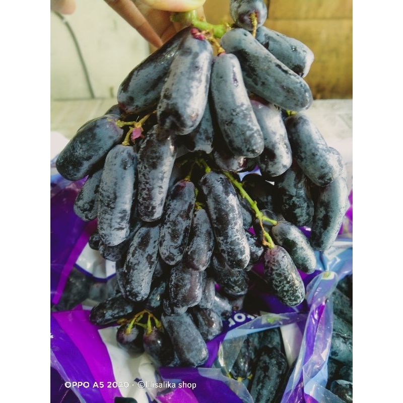 Jual ANGGUR SAPHIRE SEADLESS/ANGGUR JARI/ANGGUR MOONDROP PACK | Shopee ...