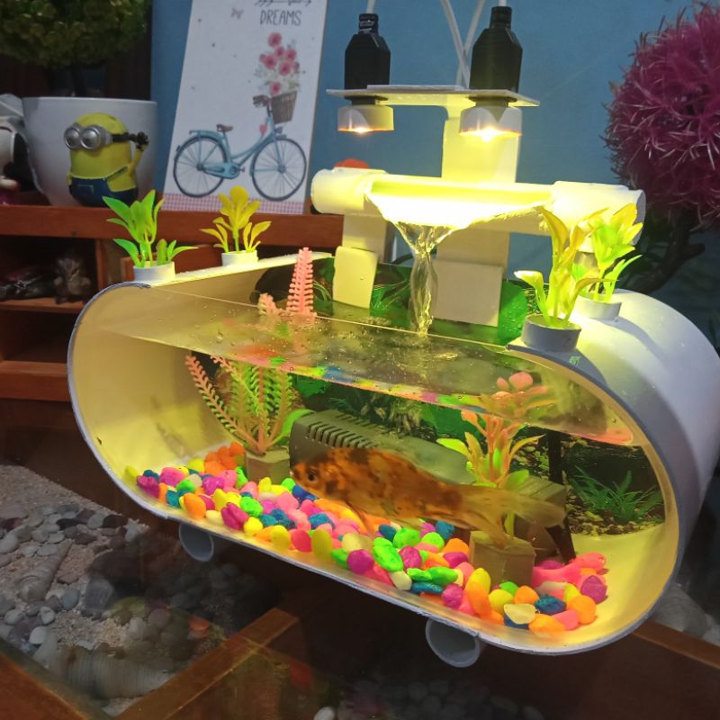 Jual Hiasan Aquarium Mini Minimalis Akrilik Lengkap Fullset Ikan Hias ...