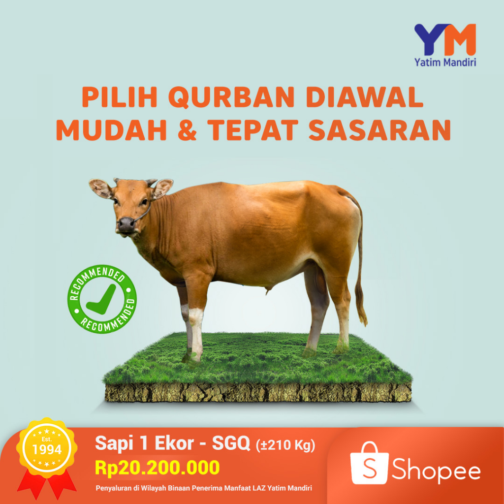 Jual Yatim Mandiri - Qurban Sapi 1 Ekor Super Gizi Qurban | Shopee Indonesia