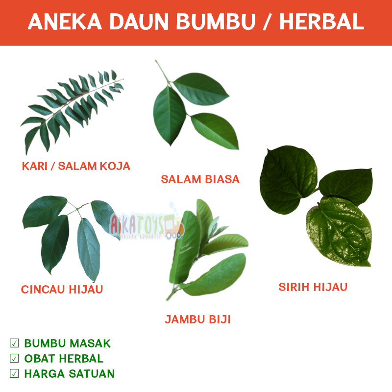 Jual Aneka Daun Obat Herbal Per Lembar Bumbu Masak Salam Kari Koja ...