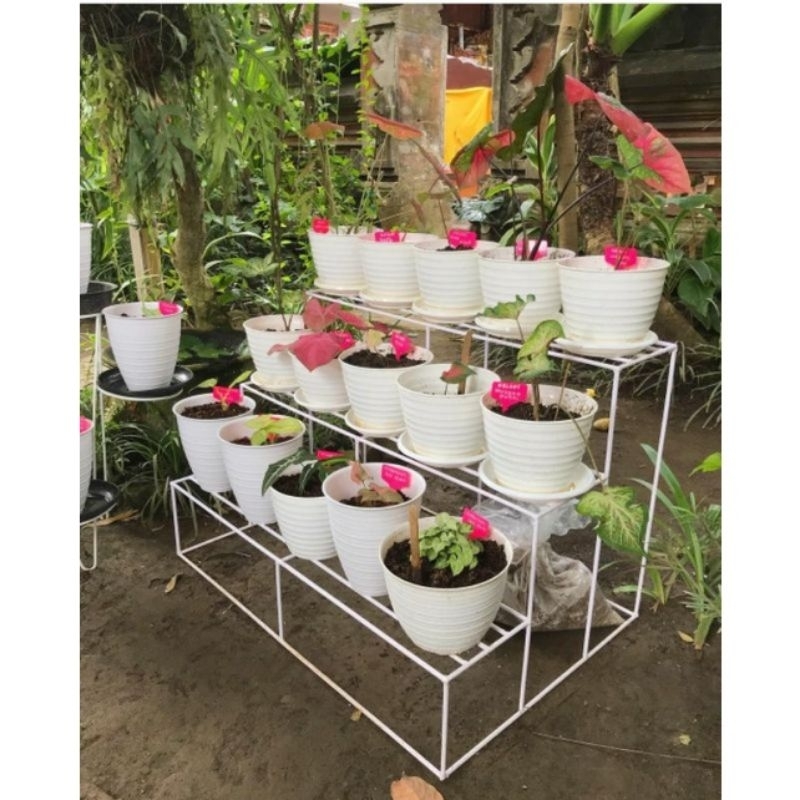 Jual Rak Bunga Besi Susun 3 / Rak Tanaman / Rak Pot Kembang | Shopee ...