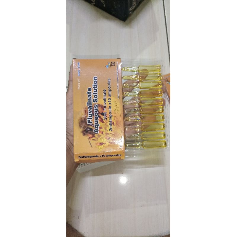 Jual Obat Lebah Ampul Cair Rusia Packing Baru | Shopee Indonesia