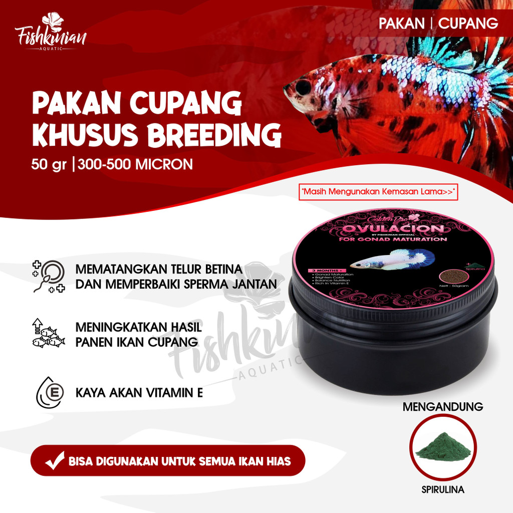 Jual Fishkinian | Pelet Cupang Ovulacion - Ovulacion Untuk Breeding ...