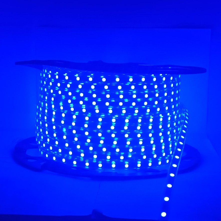 Jual led strip selang 5050 ac 220v warna biru meteran | Shopee Indonesia