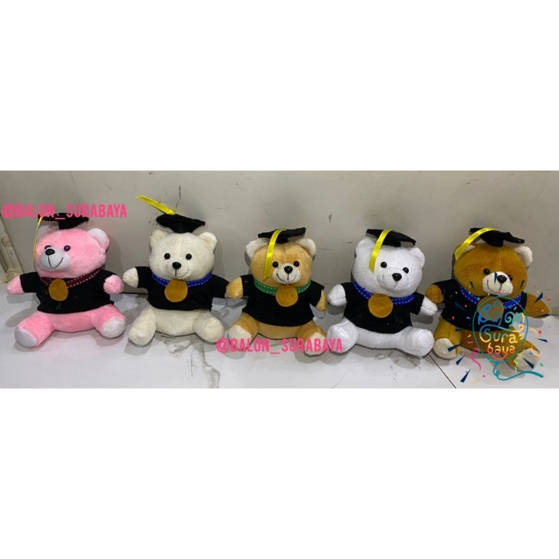Jual Boneka Graduation / Boneka Wisuda Kecil | Shopee Indonesia