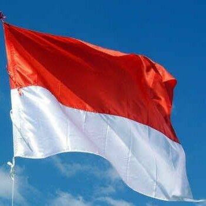 Jual Bendera Merah Putih -150 x 100 - 120 X 90 - 90cm x 60cm - Bendera ...