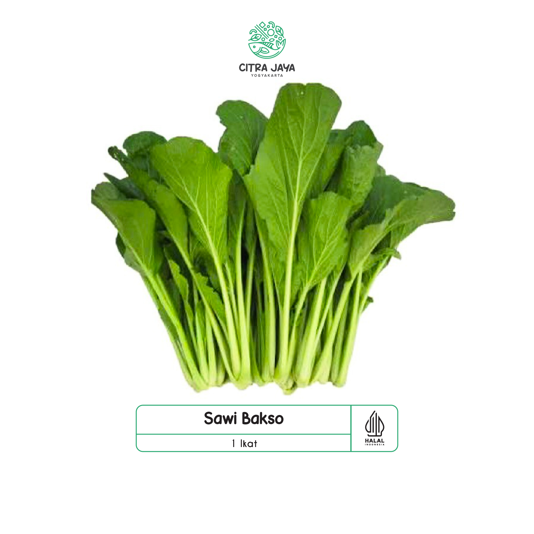 Jual Sawi Hijau / Sawi Bakso 1 Ikat - Citra Jaya Yogyakarta | Shopee ...