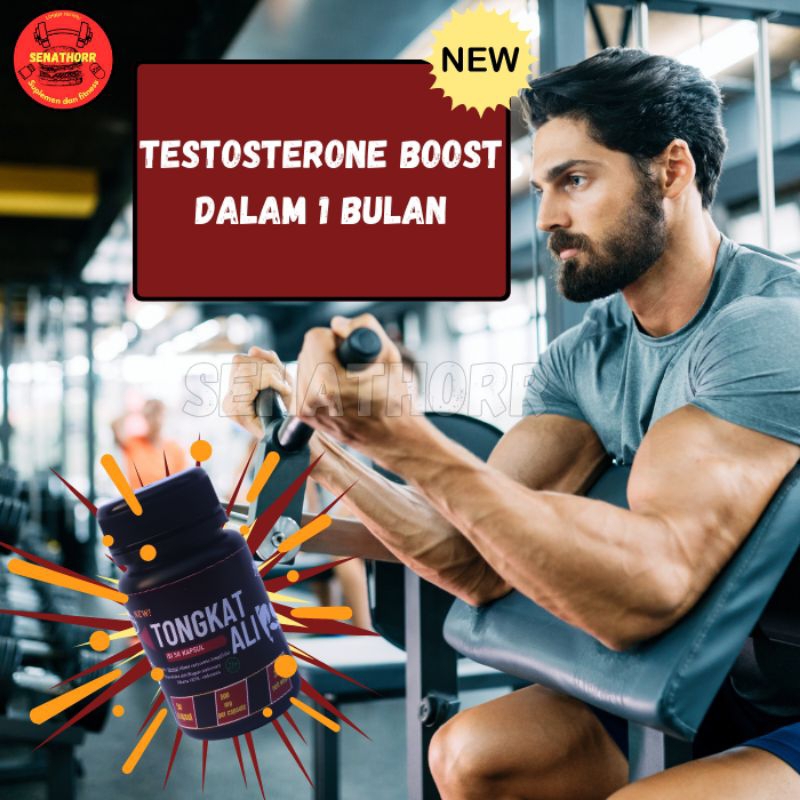 Jual TONGKAT ALI KAPSUL eceran 500 mg obat kuat peningkat vitalitas ...