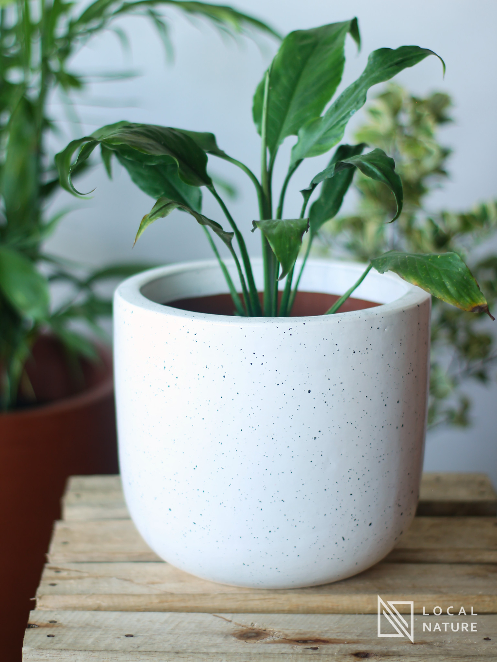 Jual (CM2XL) Pot Bunga | Pot Aesthetic | Pot Tanaman | Pot Keramik ...