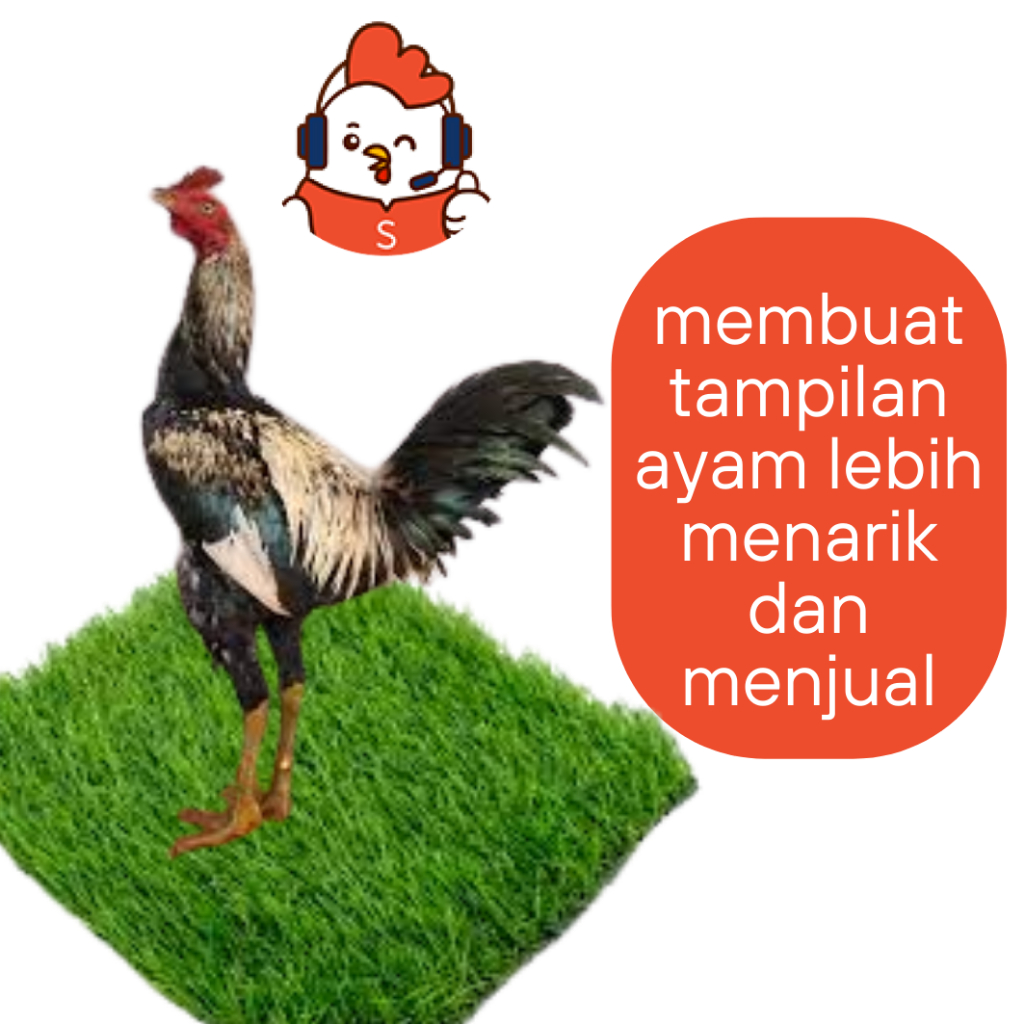 Jual alas poto ayam kucing dan lainya model rumput zeorfarm | Shopee ...