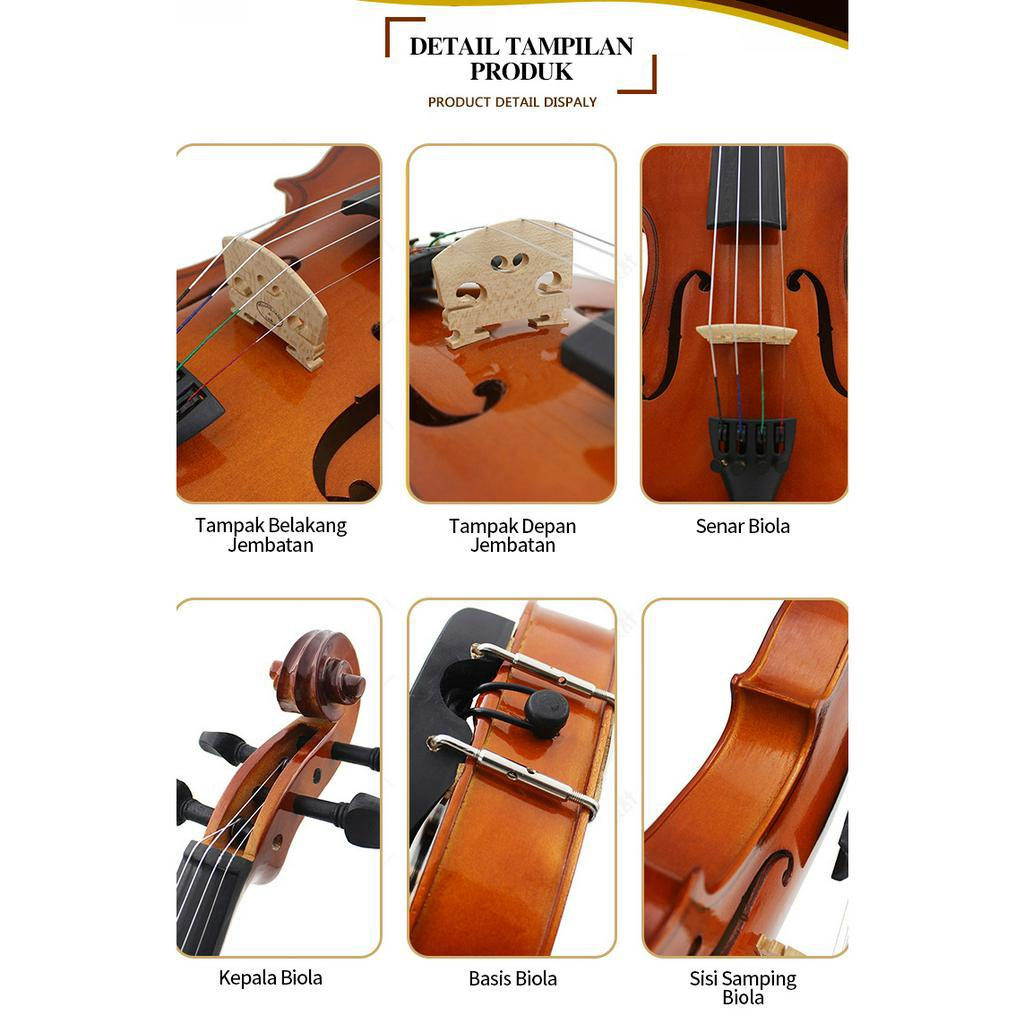 Jual Benston Music- 4/4 biola untuk dewasa, anak-anak, dan remaja /alat ...