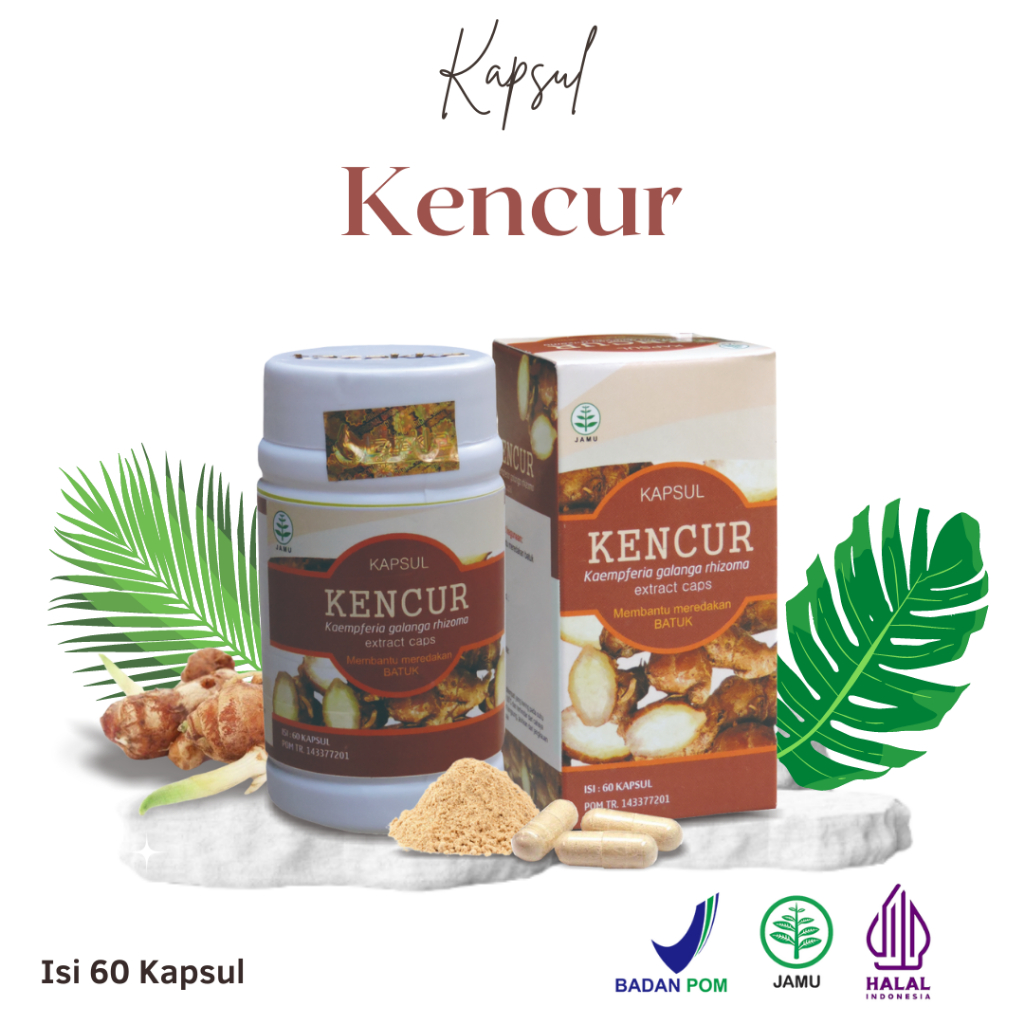 Jual Kapsul Kencur Bubuk Asli Tazakka Halal BPOM Isi 60 Extract Capsule ...