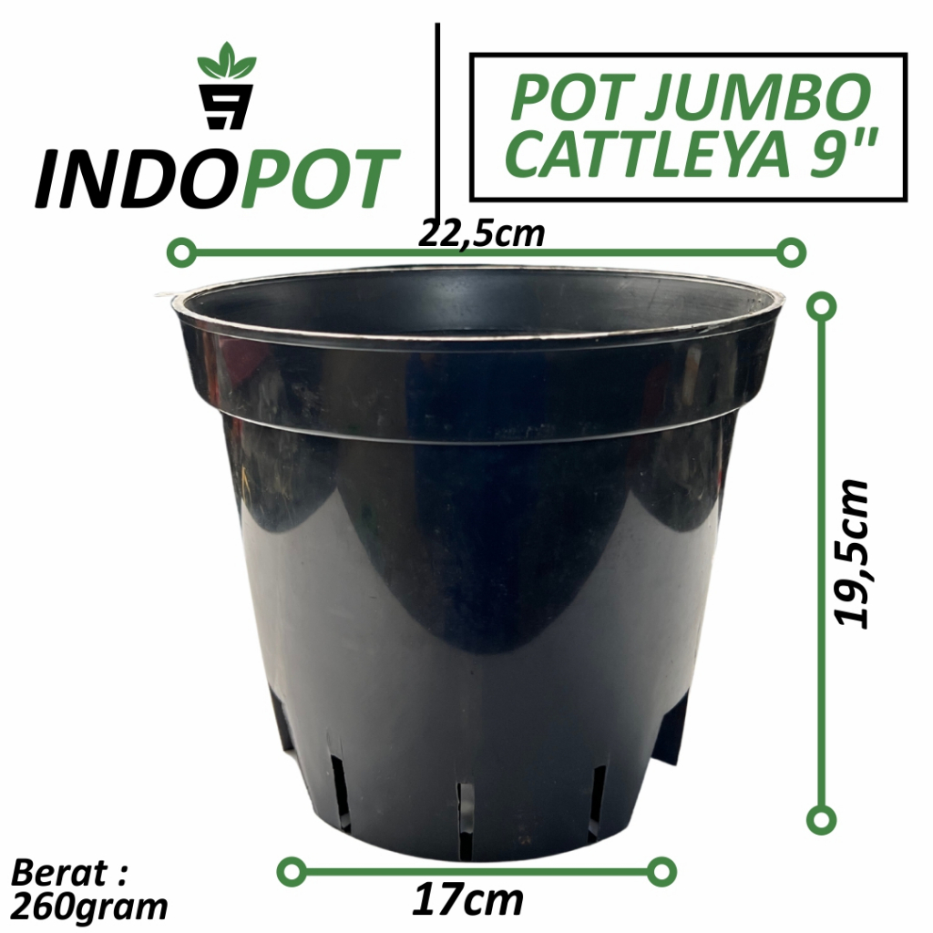 Jual Pot Jumbo Cattleya 9 Warna Hitam Pot Bunga Anggrek Pot Hitam Tebal ...