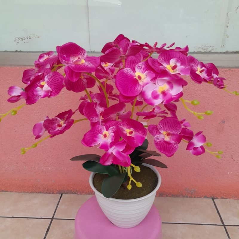 Jual rangkaian bunga anggrek + pot tawon plastikT.70cm | Shopee Indonesia