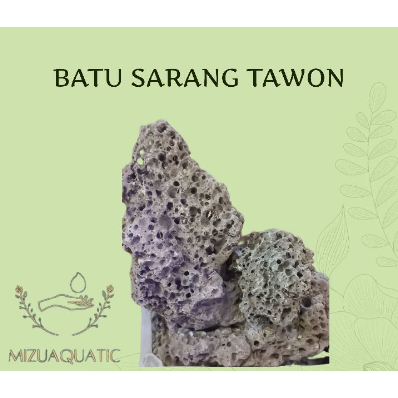 Jual BATU SARANG TAWON HARDSCAPE AKUARIUM AQUARIUM AQUASCAPE | Shopee ...