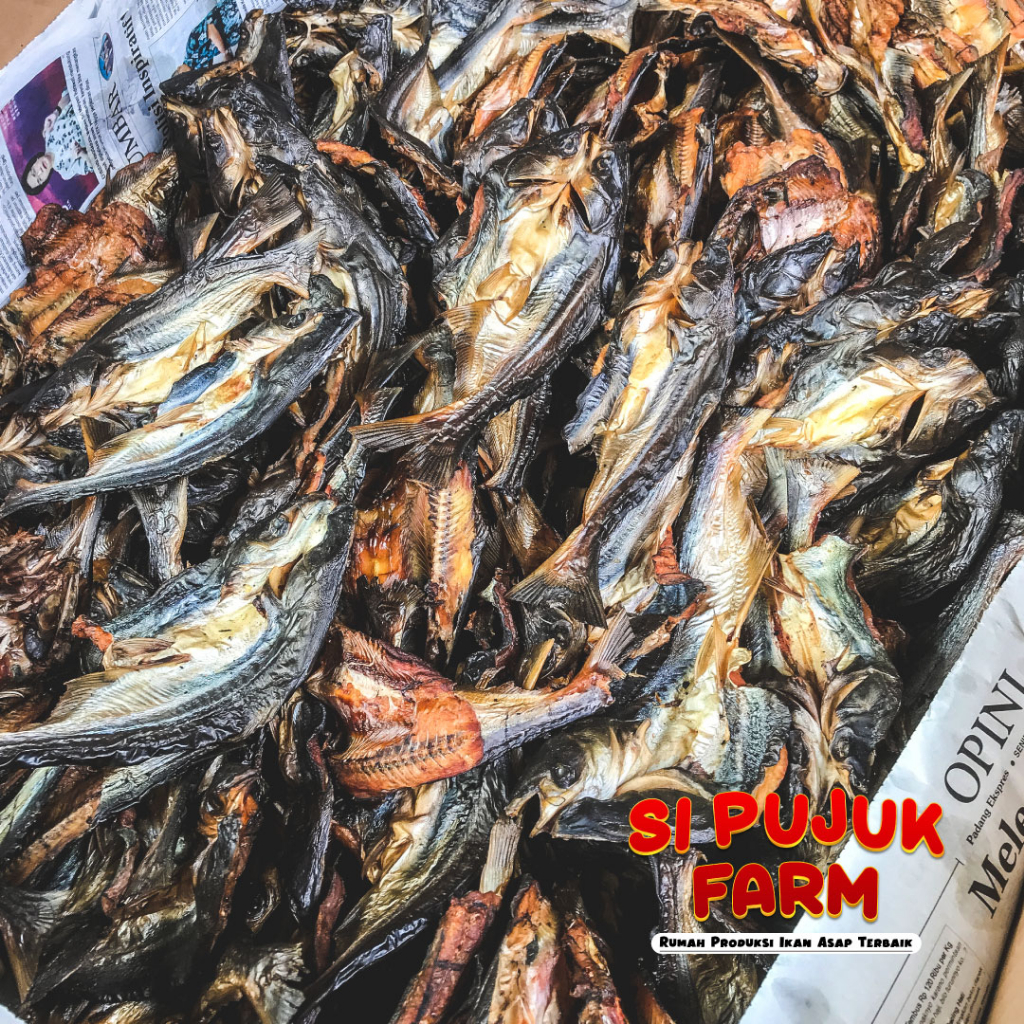 Jual Ikan Salai Patin Si Pujuk 100 Gram | Shopee Indonesia