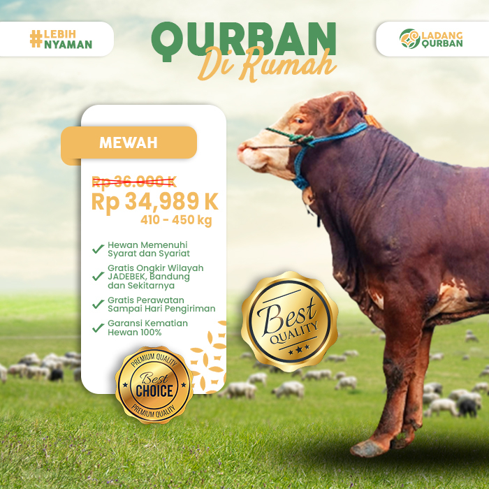 Jual Hewan Qurban Sapi Kurban Hidup Super 210KG - 450KG Gratis Ongkir JABODETABEK | Shopee Indonesia