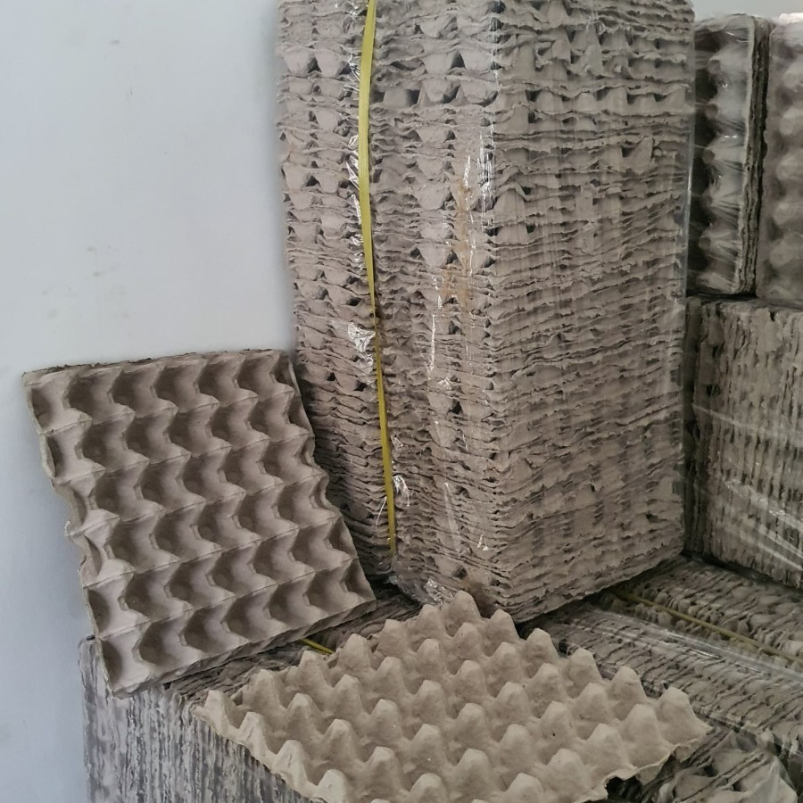Jual EGGTRAY TELUR / TRAY TELUR / TEMPAT TELUR / ALAS /RAK TELUR ...