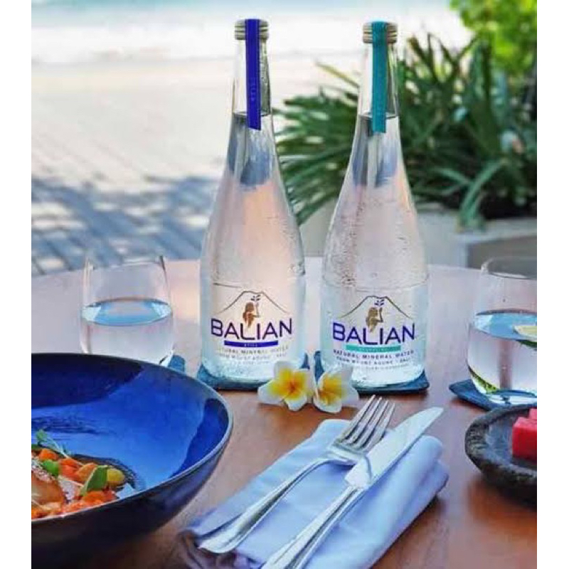 Jual Balian Natural Mineral Water 750ml x 6 botol (karton) | Shopee ...