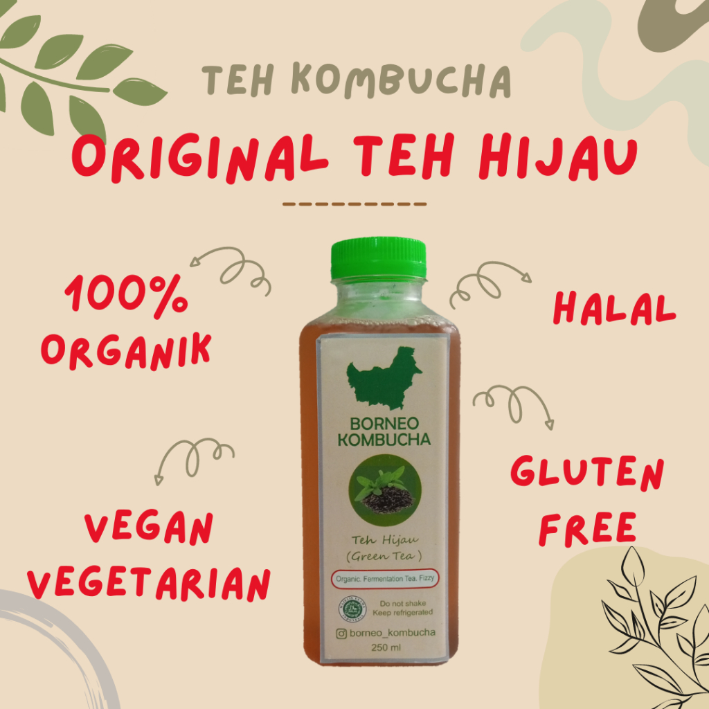 Jual BORNEO KOMBUCHA ORIGINAL TEH HIJAU TEH PROBIOTIK ORGANIK HALAL 250 ...