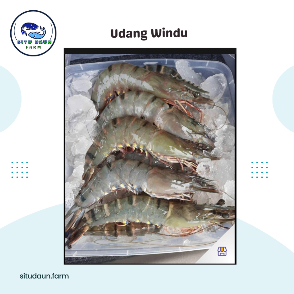 Jual Udang Windu / Tiger Murah 1 Kg | Shopee Indonesia