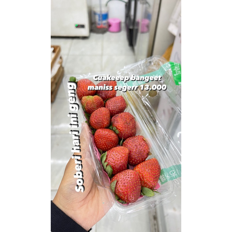 Jual stoberi fresh | Shopee Indonesia