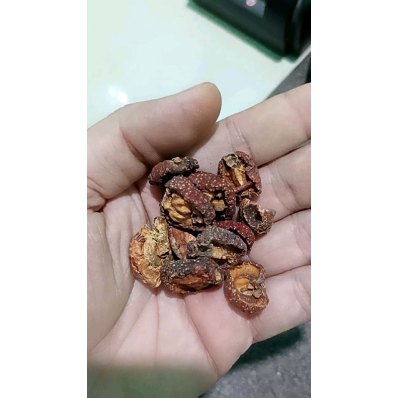 Jual 500 G GR GRAM 山楂 SHAN ZHA HAWTHORN FRUIT CRATAEGUS FRUIT | Shopee ...