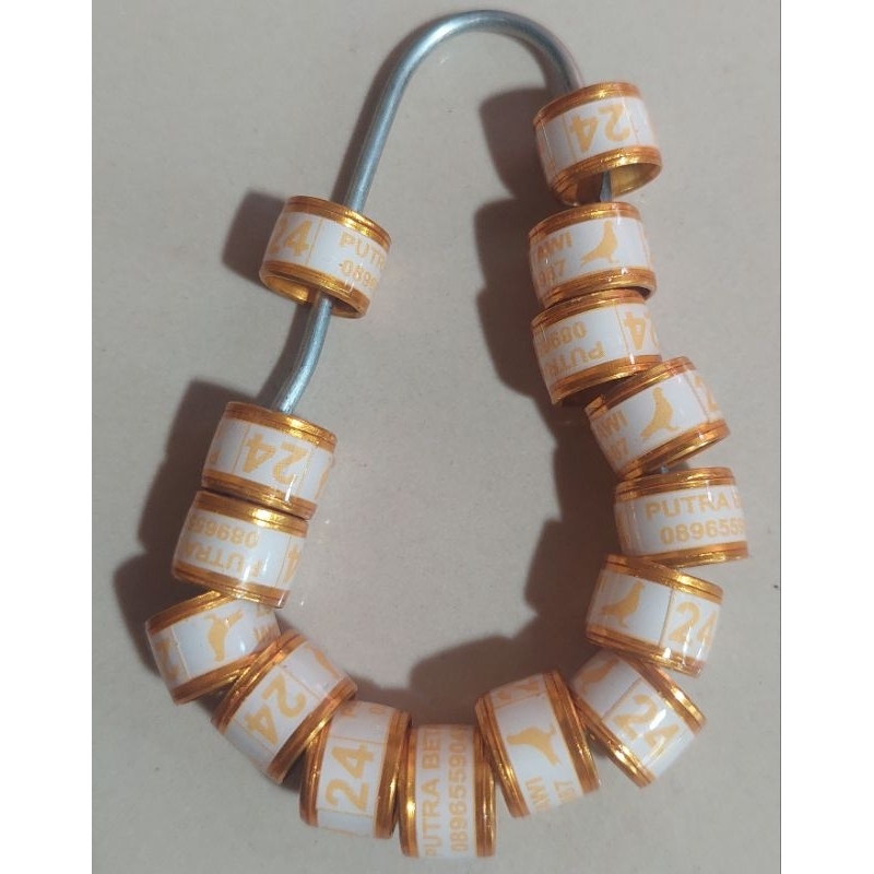 Jual ring merpati dewasa 10mm | Shopee Indonesia