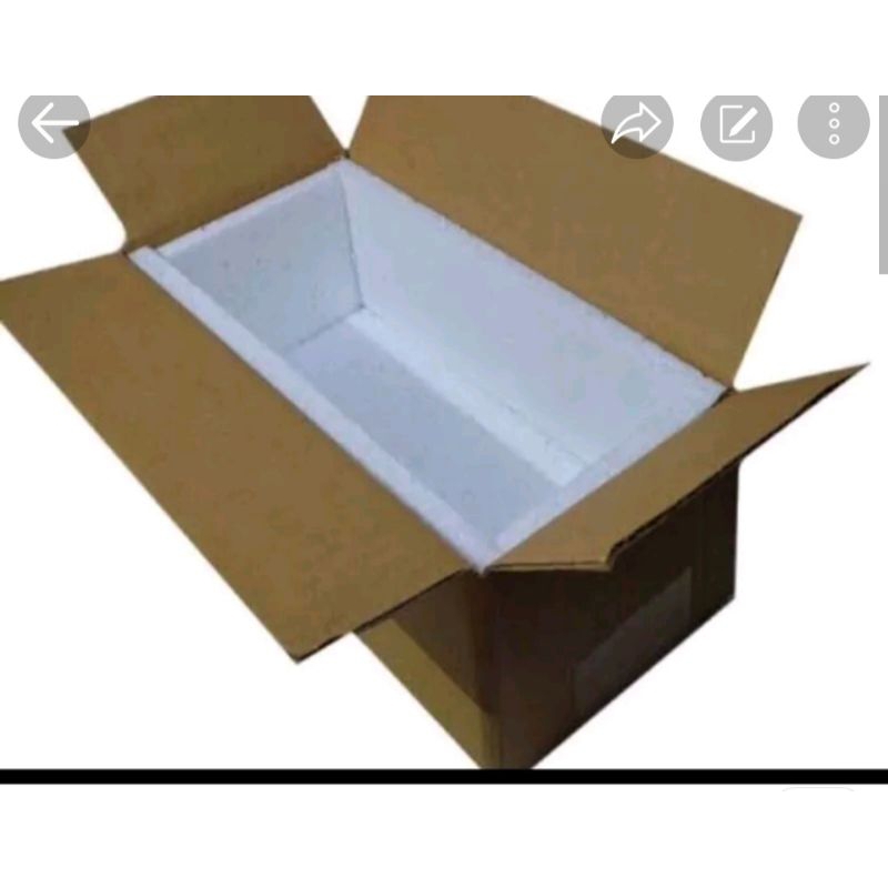 Jual box 2kg | Shopee Indonesia