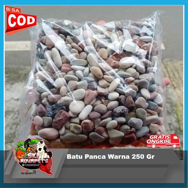 Jual Batu Aquarium Pancawarna 500gram Hiasan Akuarium | Shopee Indonesia