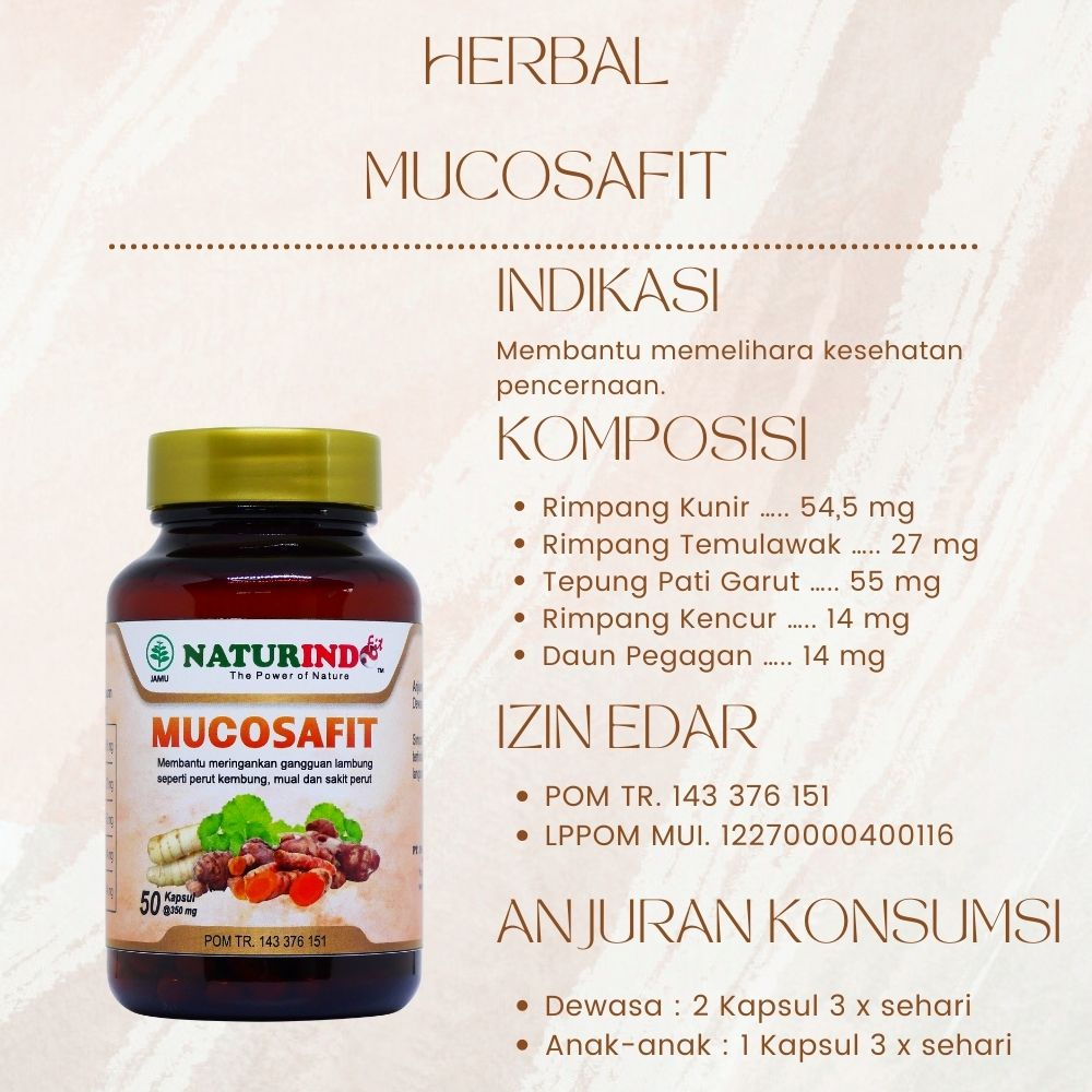 Jual Obat Herbal MUCOSAFIT Naturindo (Spesial Atasi Lambung ...