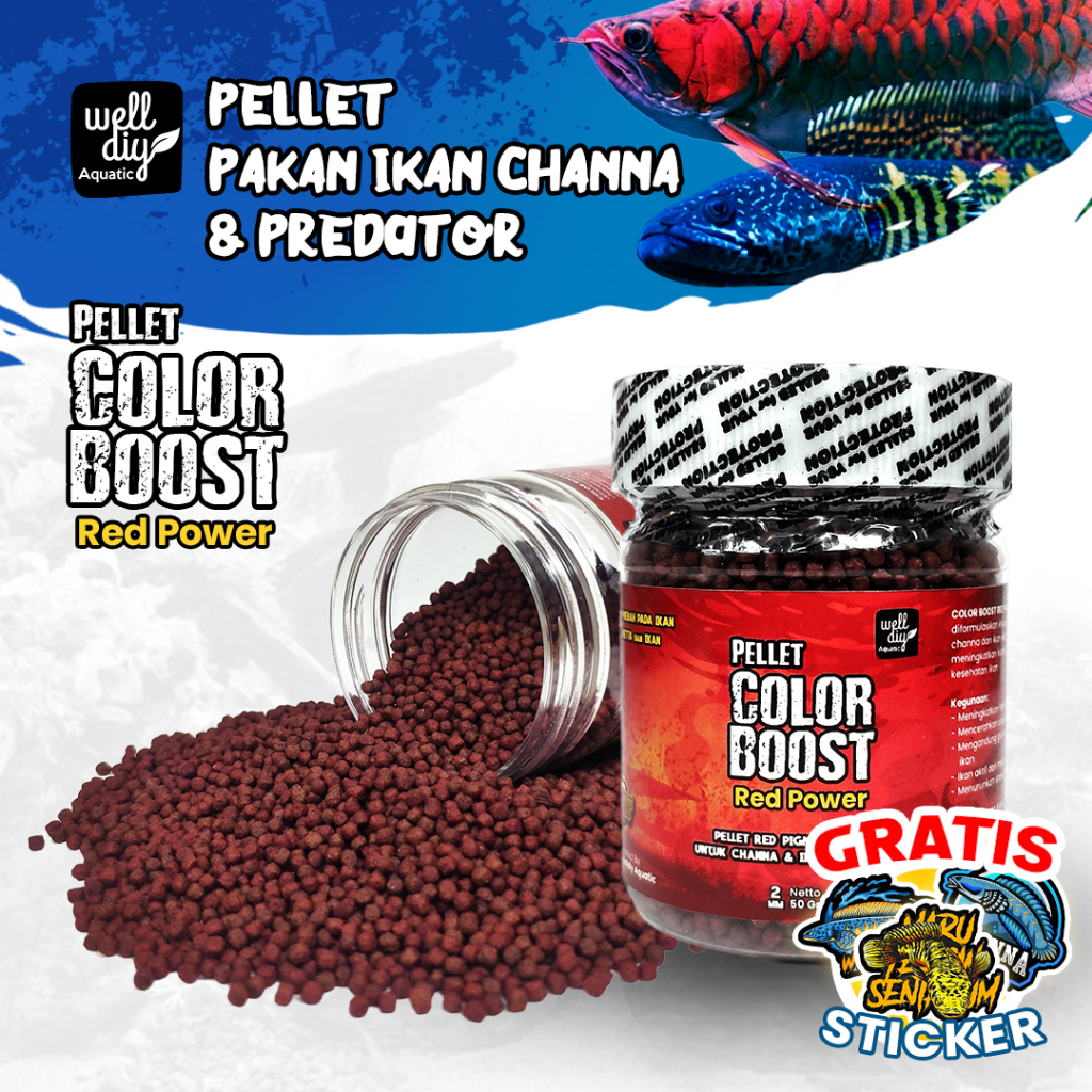 Jual Pakan Chana Pelet Ikan Channa Carophyll COLOR BOOSTER Red Pigment ...