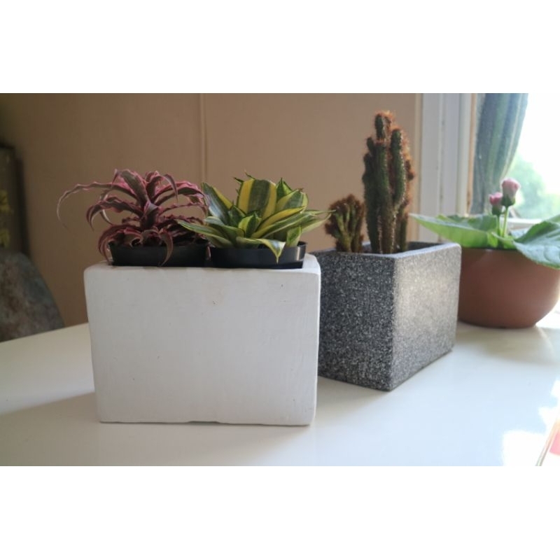 Jual Pot Sukulen Terakota Planter Box Mini Kotak L10P20 | Shopee Indonesia