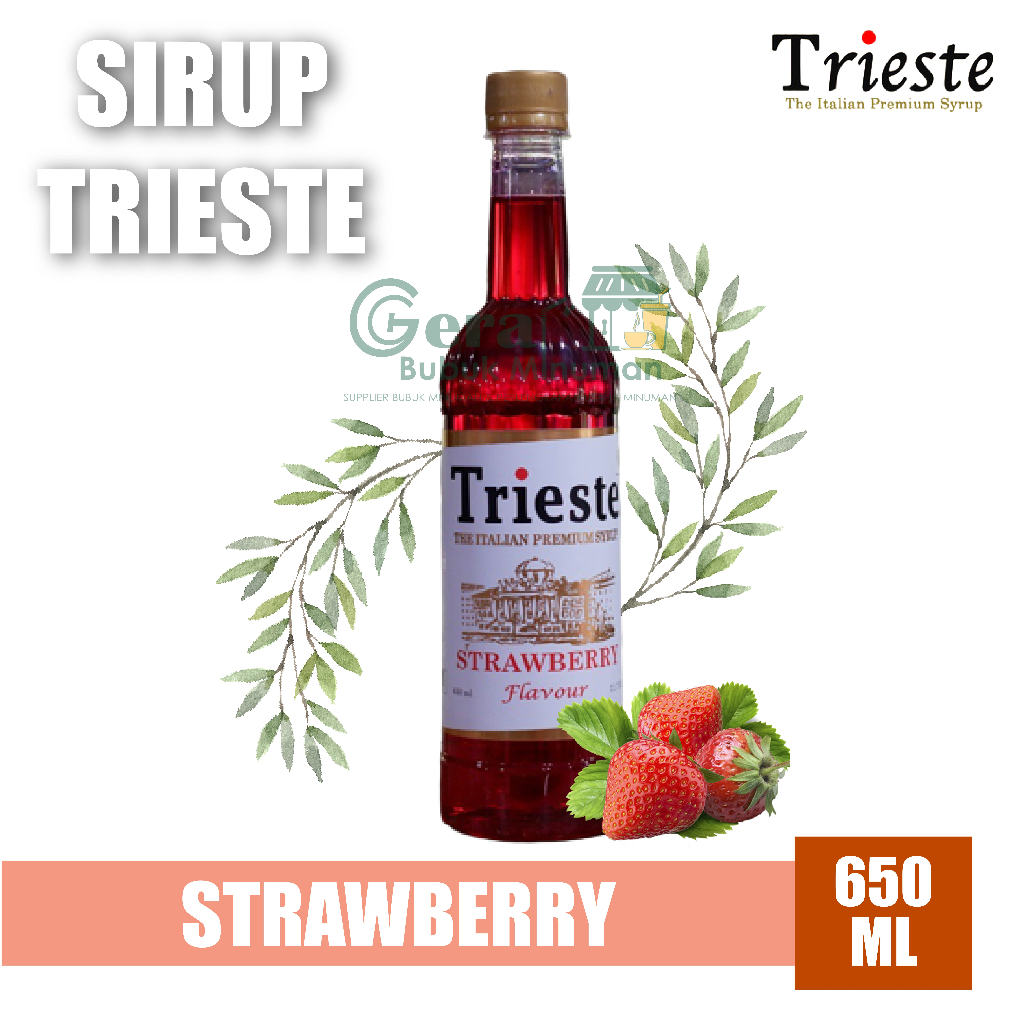 Jual Trieste Syrup Premium Aneka Rasa All Variant (Botol 650ml ...