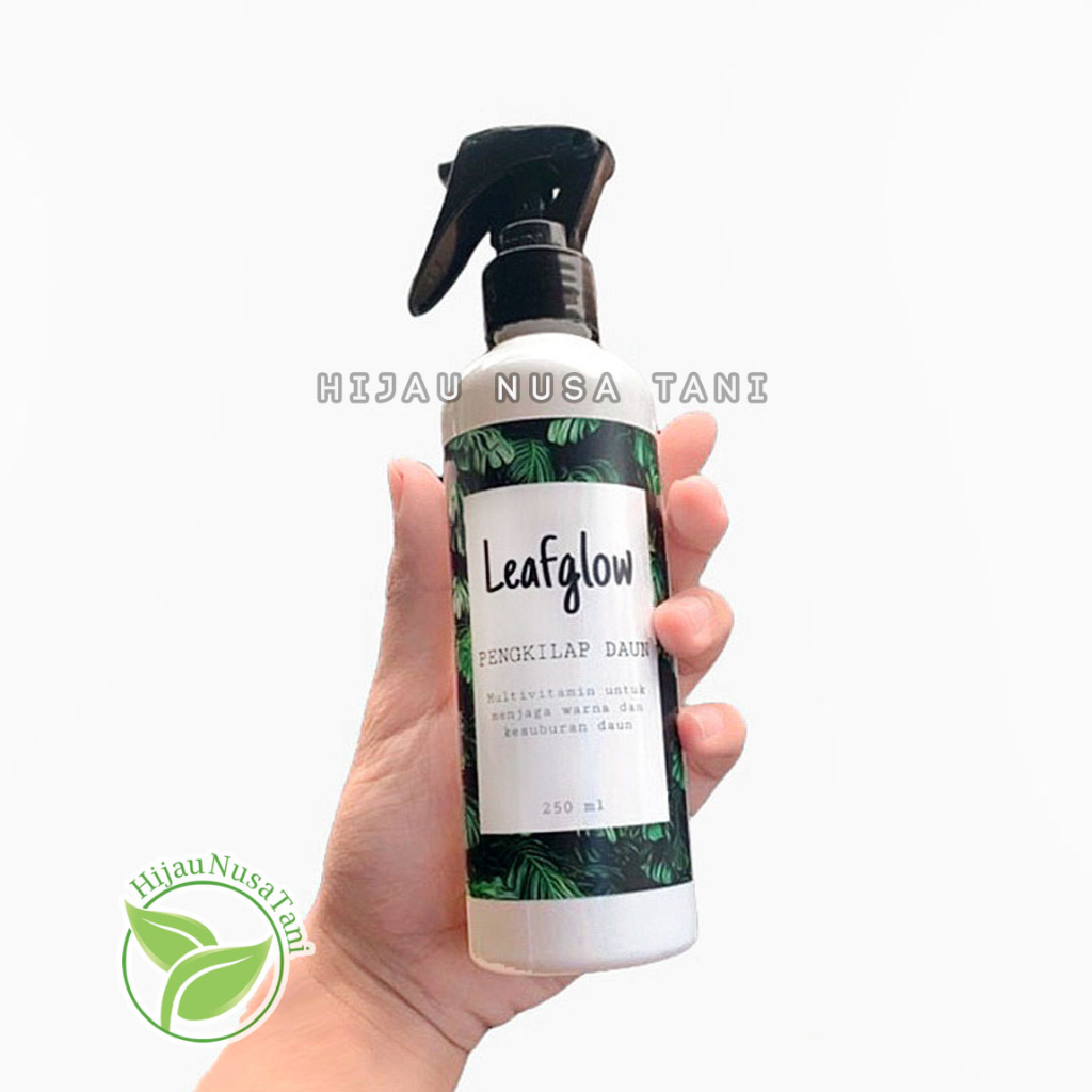 Jual LEAFGLOW KILAP DAUN SPRAY 250 ml - Pengkilap Pengilap Semir Daun Leaf Shine Tanaman Hias ...